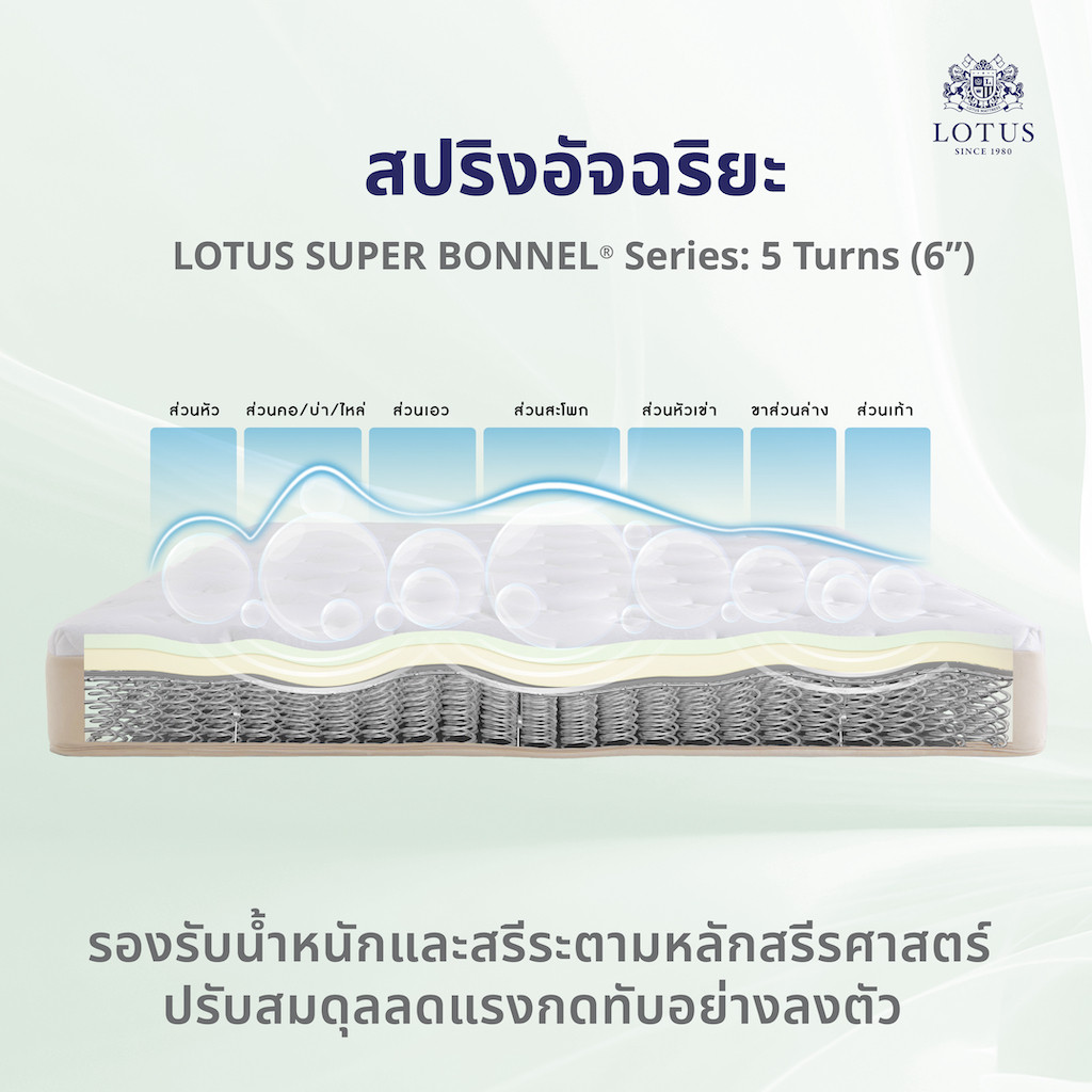 LOTUS MATTRESS - Renoa I | Lotus Mattress