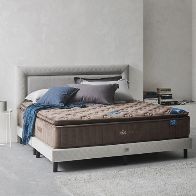 ที่นอน LOTUS รุ่น Starlight | ที่นอน LOTUS
