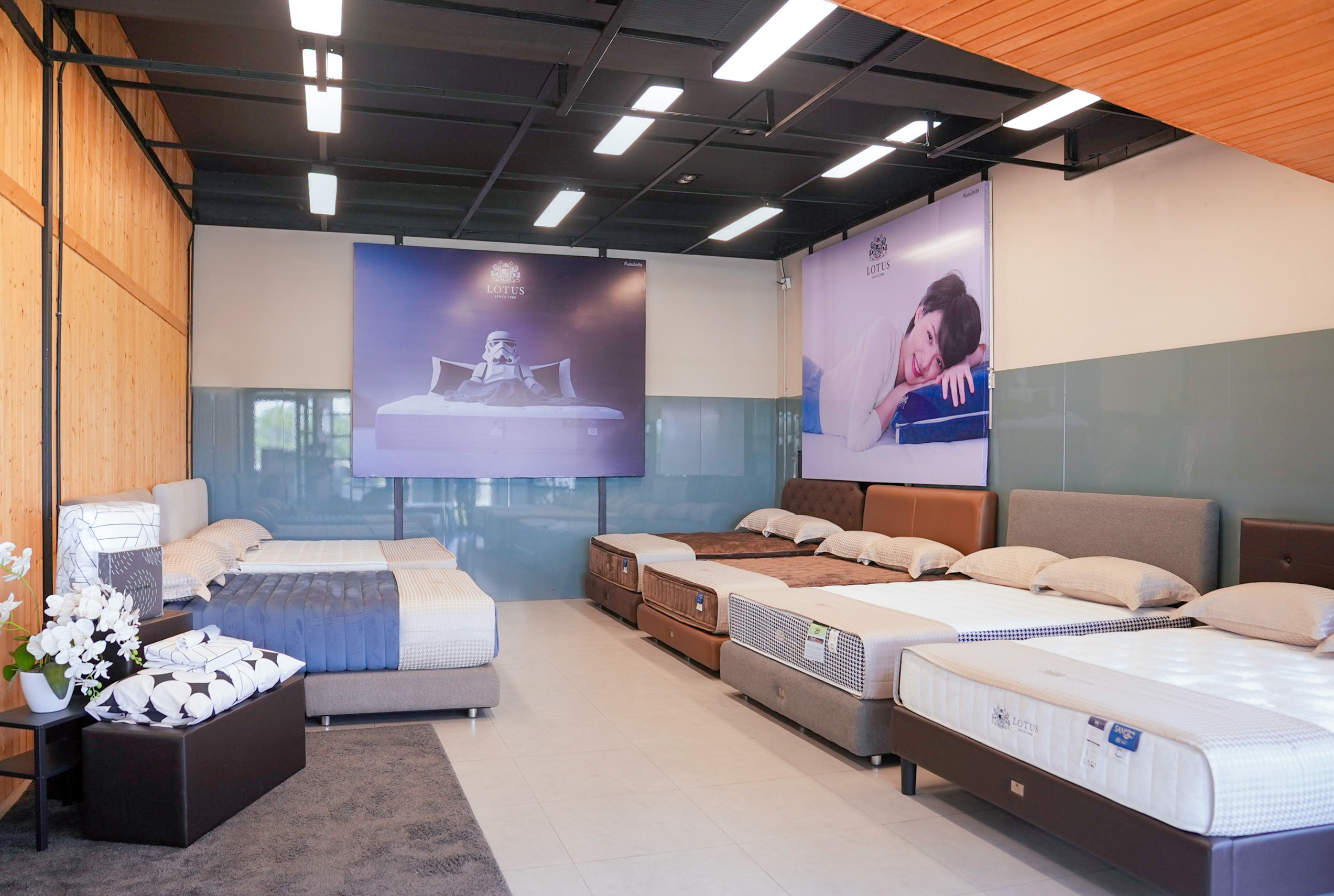 สาขาของเรา | Lotus Mattress ประเทศไทย