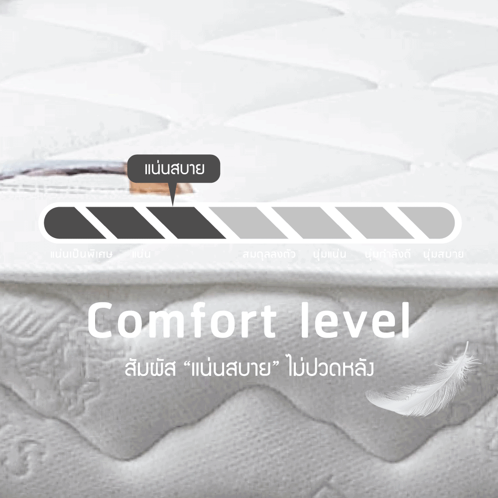 ที่นอน LOTUS รุ่น Euphobia | ที่นอน LOTUS