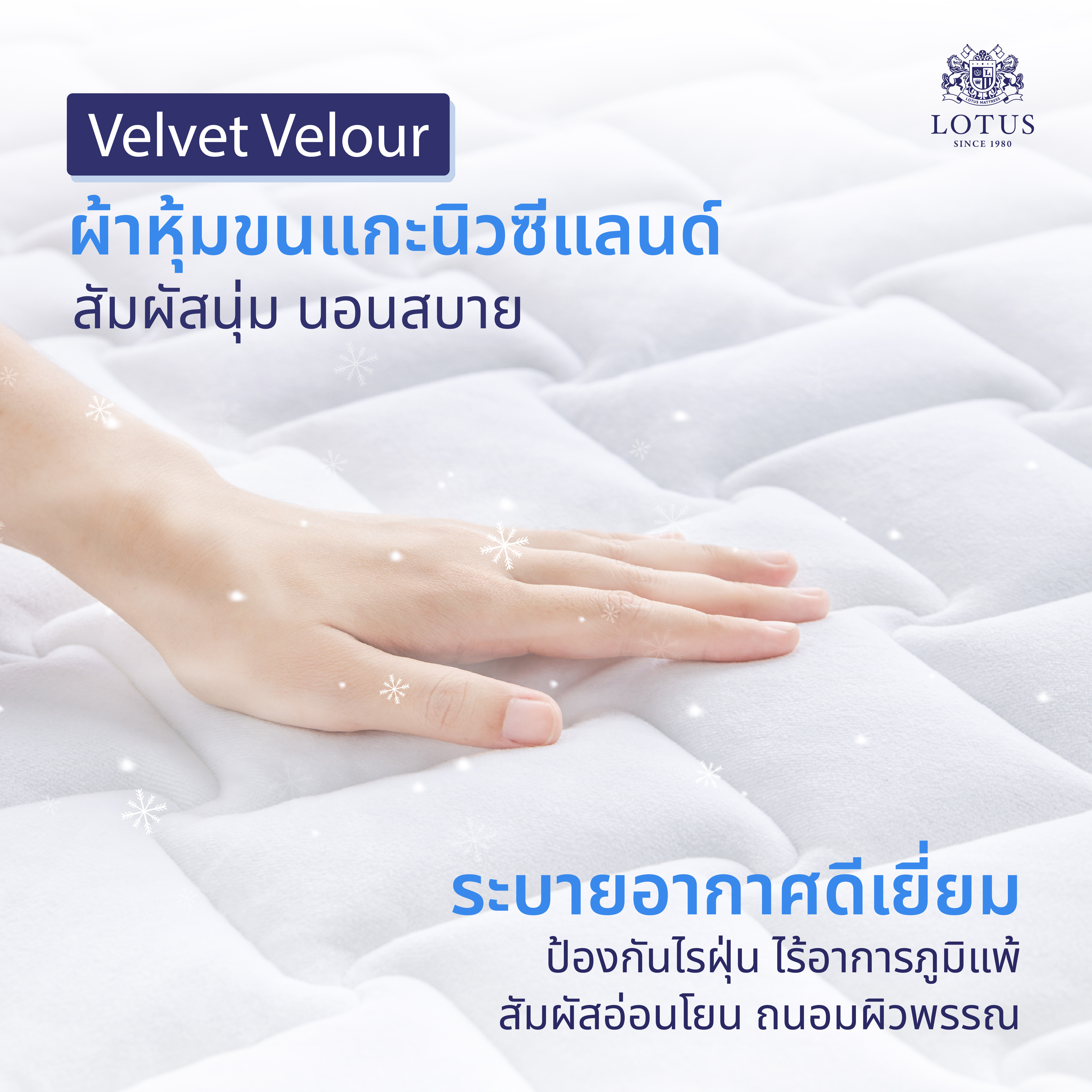 ที่นอน LOTUS รุ่น Woodfield III | ที่นอน LOTUS