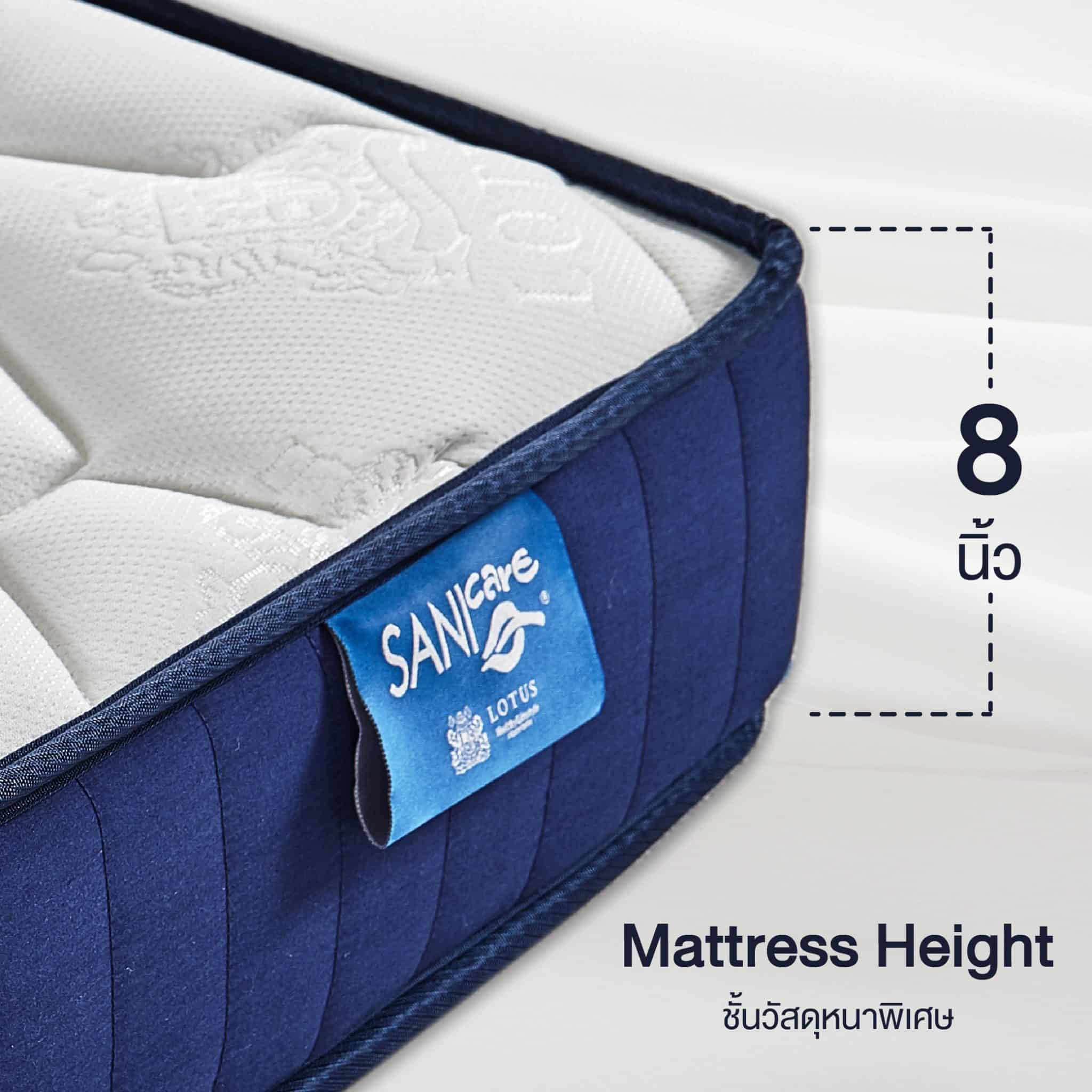 LOTUS MATTRESS - Carlton II | Lotus Mattress